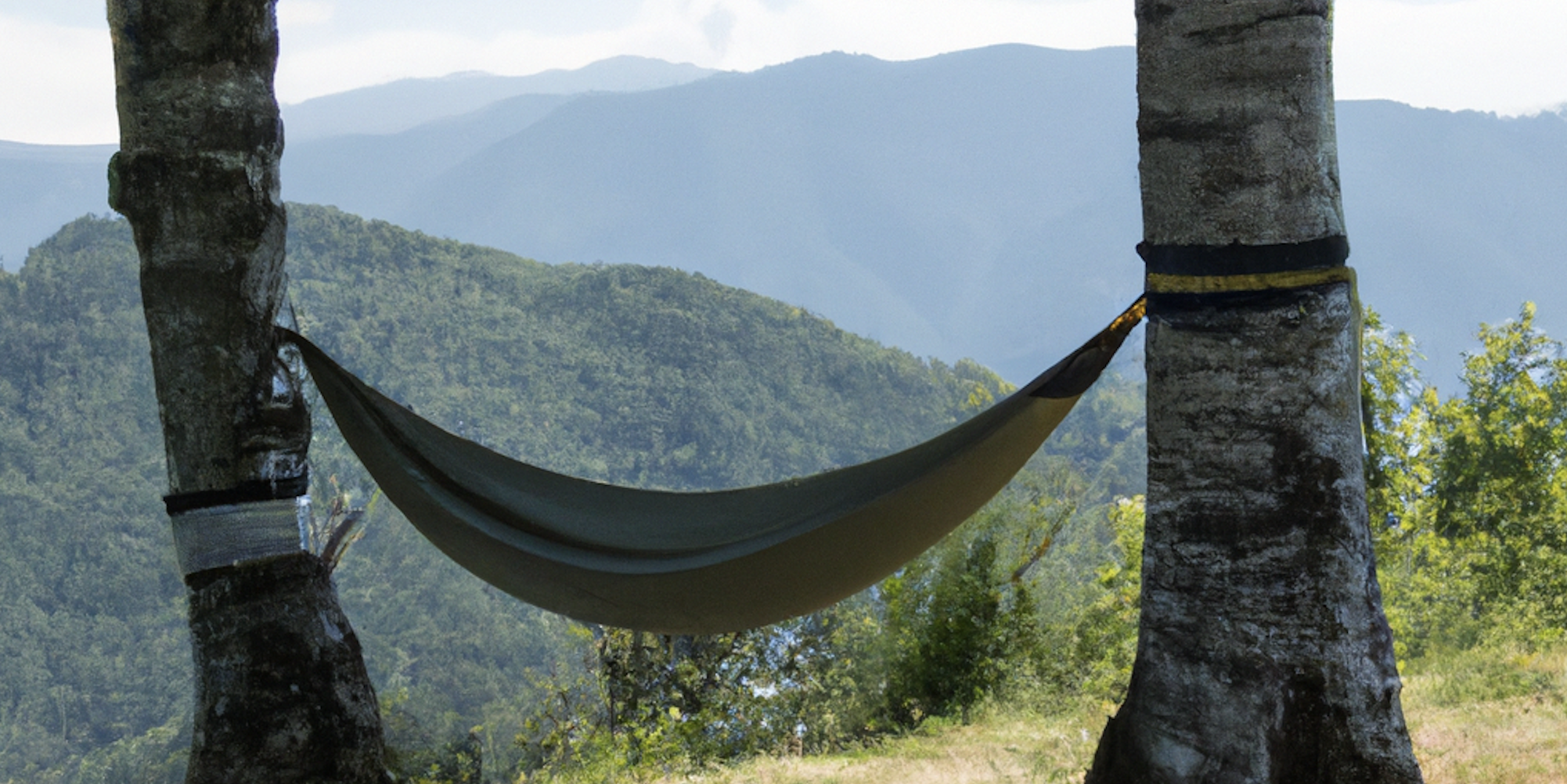Dryad's Saddle Mushroom | Forage, identify, and eat!